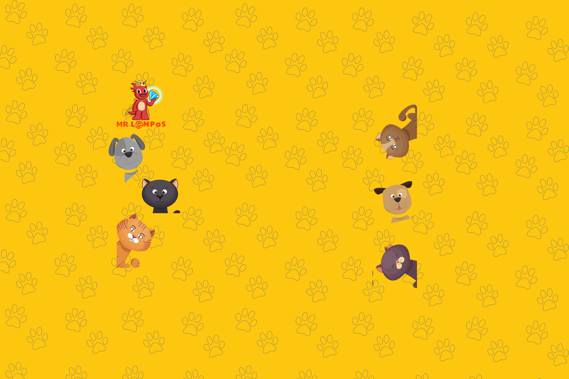 SPIDER LOVER PETSHOP - LEMPOS